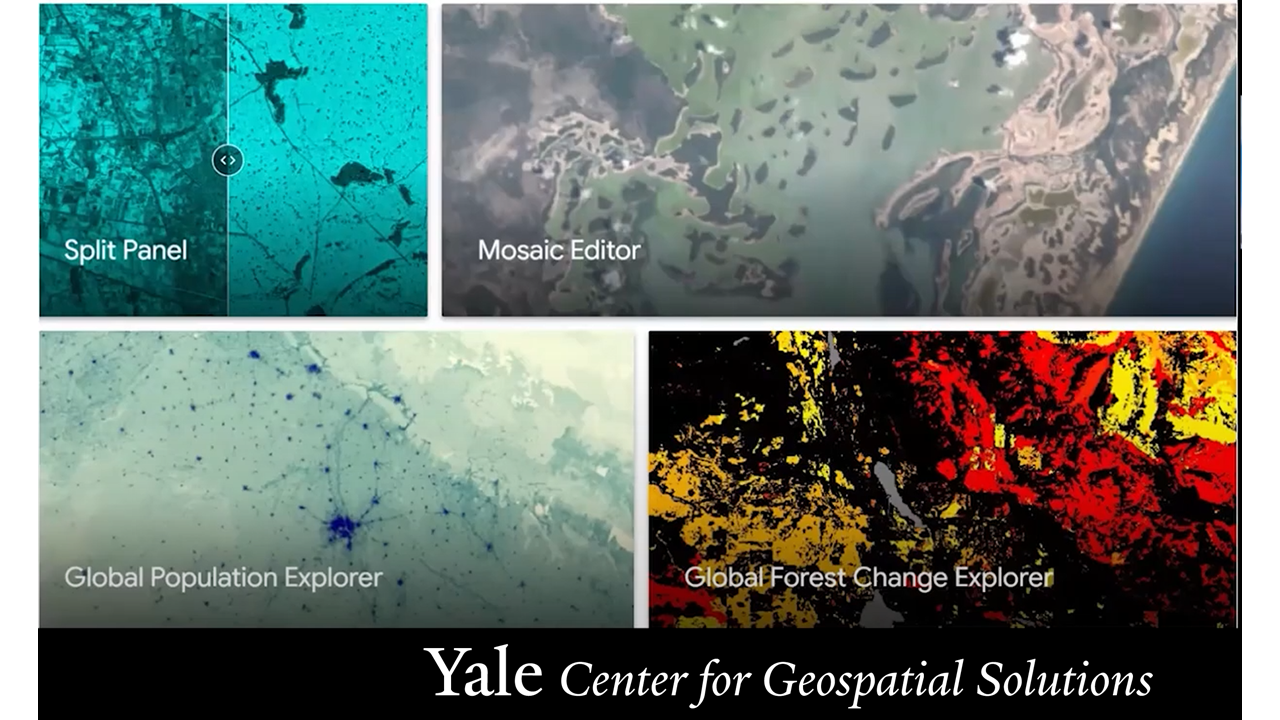 [Workshop] Ecological Insights from AlphaEarth Embeddings using Google ...
